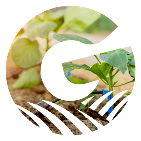 Contact | Green Life Farms | Produce Supplier Indio, CA