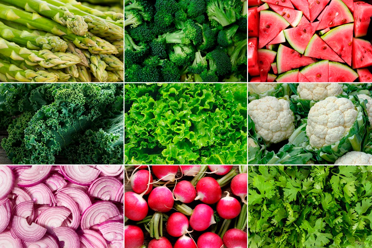 How Green Life Farms Ensures Quality in Every Leaf and Stem